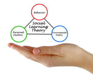 A Brief Introduction to Social Learning Theory