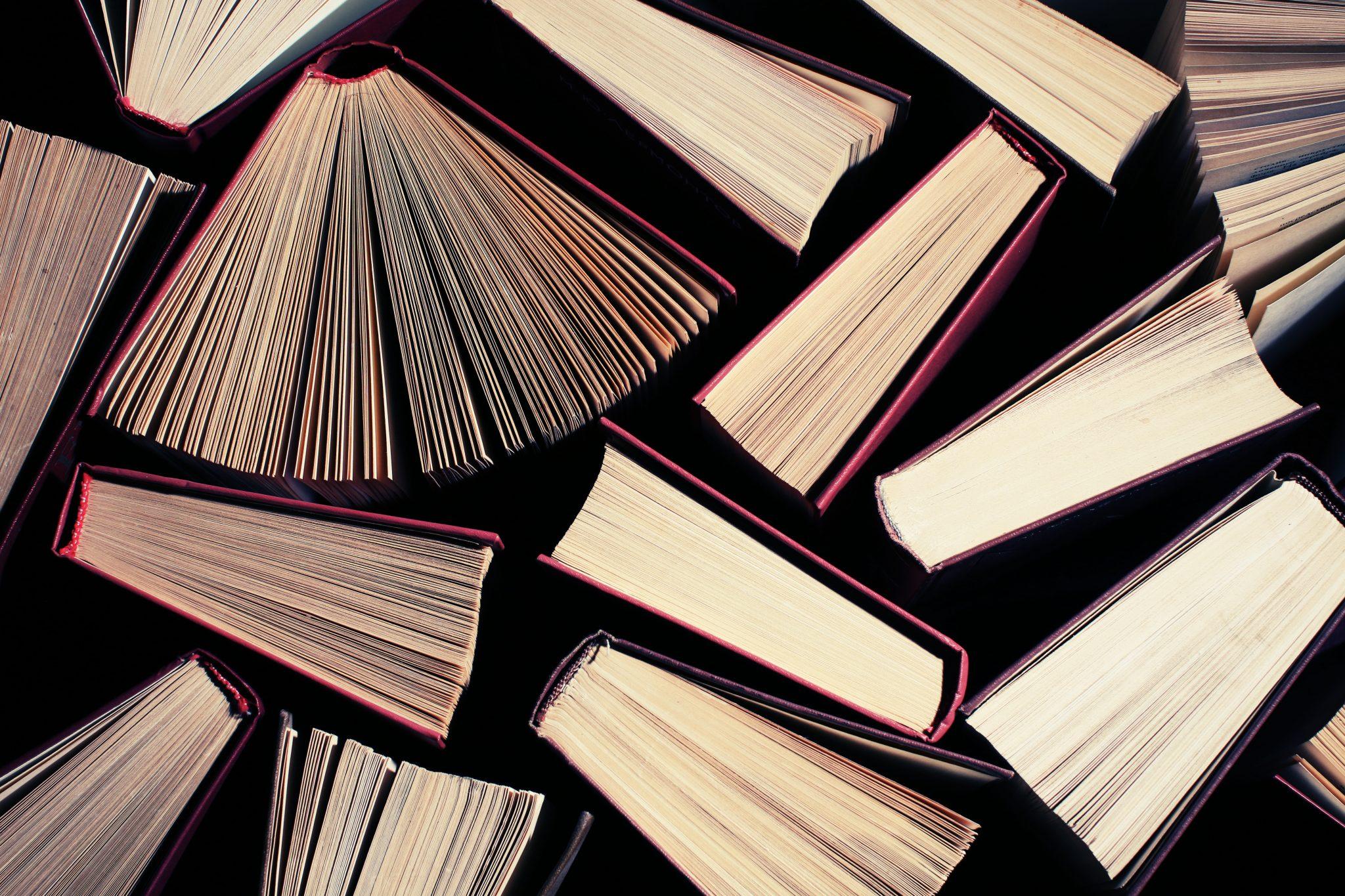 The Best Books For Social Workers In The United States the-best-books-for-social-workers-in-the-united-states